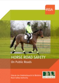 Horse riders and horse-drawn vehicles
